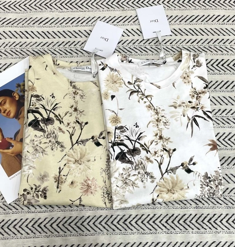 Mirror quality Christian Dior T-Shirts