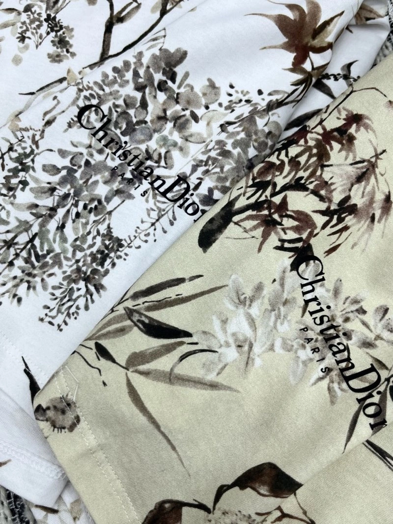 1:1 copy Christian Dior T-Shirts