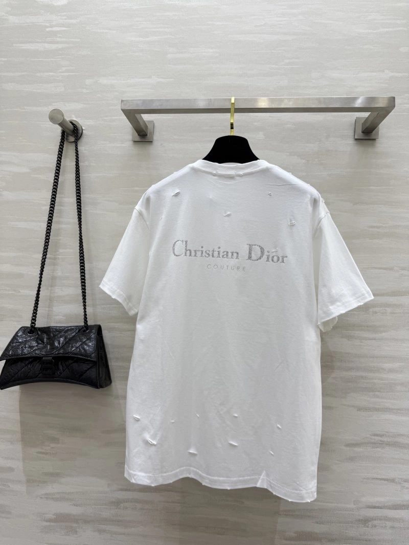 High accuracy Christian Dior T-Shirts