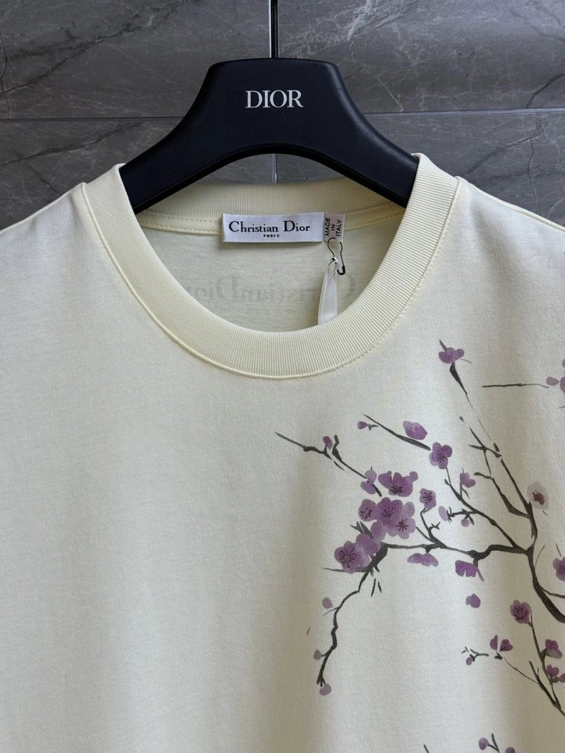 Mirror quality Christian Dior T-Shirts