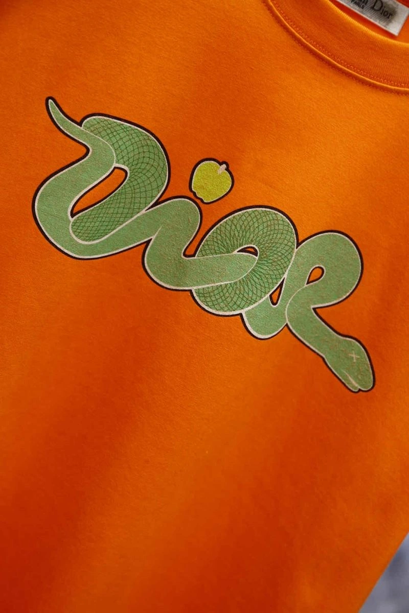 Cut-rate Christian Dior T-Shirts