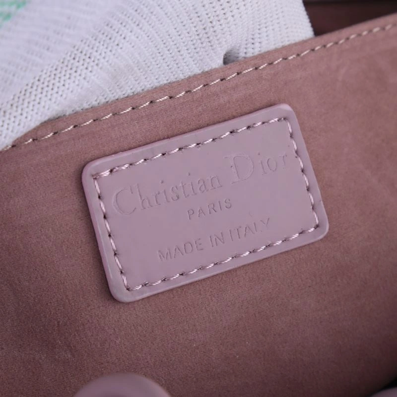 Accurate model Christian Dior Top Handle Bags