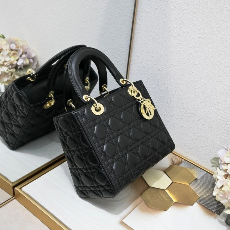 Official Christian Dior Top Handle Bags