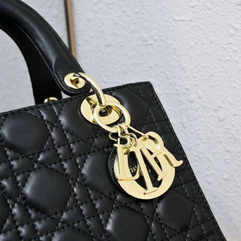 Official Christian Dior Top Handle Bags