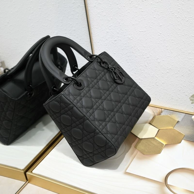 Accurate model Christian Dior Top Handle Bags