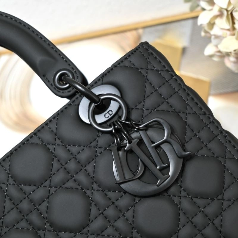 Accurate model Christian Dior Top Handle Bags