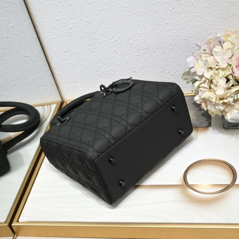 Accurate model Christian Dior Top Handle Bags