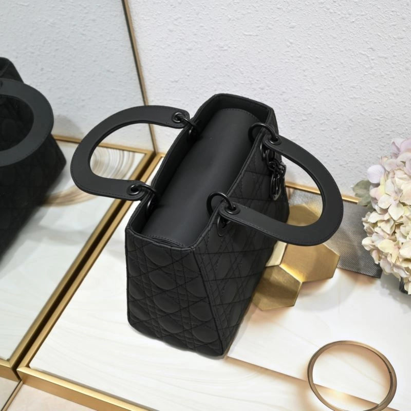 Accurate model Christian Dior Top Handle Bags