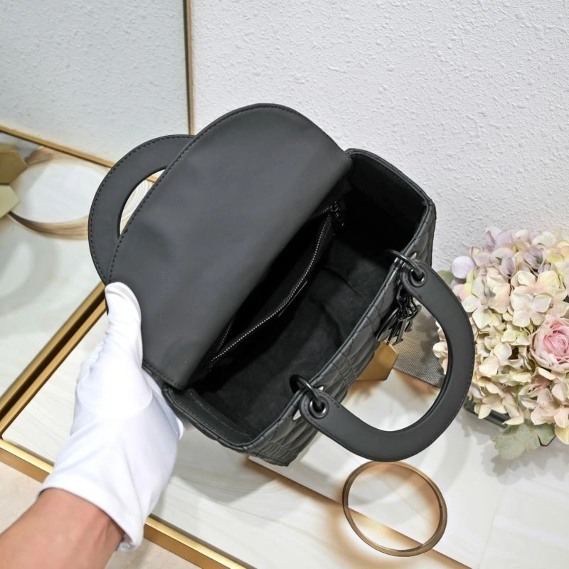 Accurate model Christian Dior Top Handle Bags