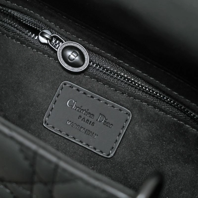 Accurate model Christian Dior Top Handle Bags