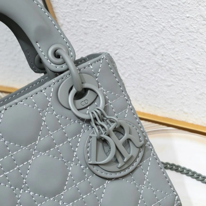 Accurate model Christian Dior Top Handle Bags
