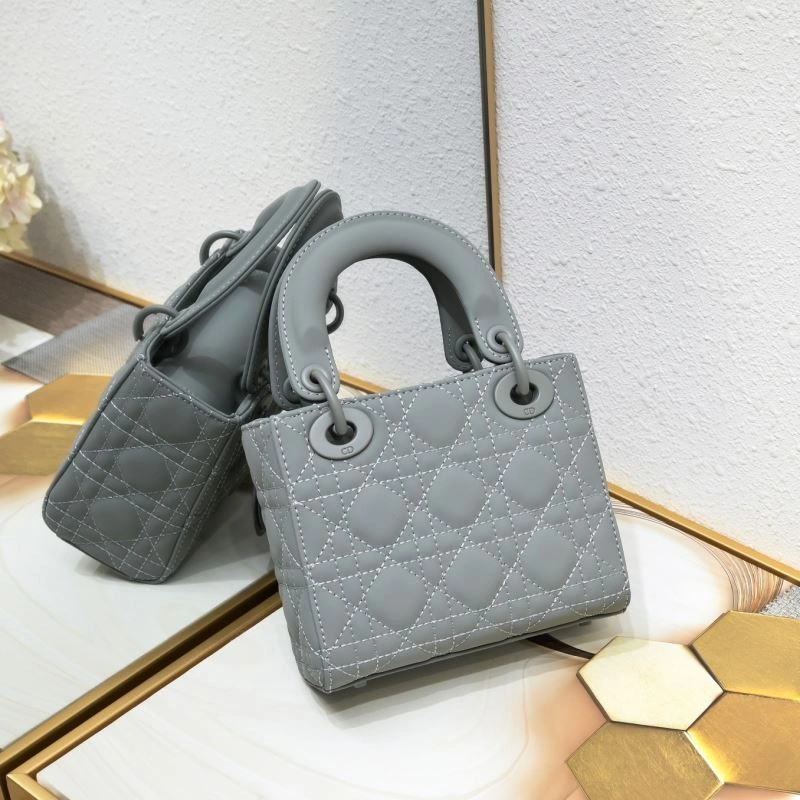 Accurate model Christian Dior Top Handle Bags