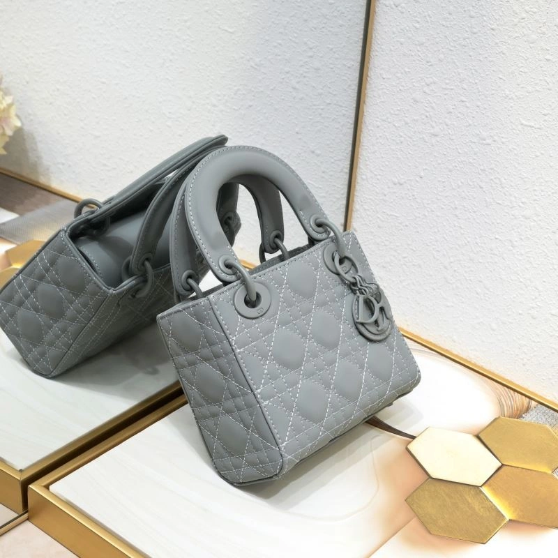 Accurate model Christian Dior Top Handle Bags