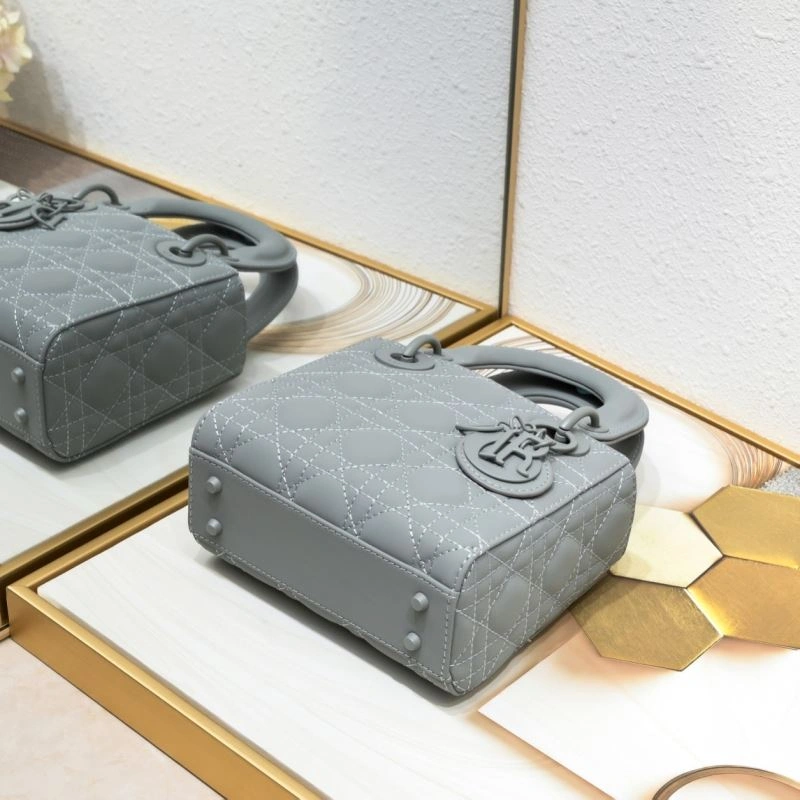 Accurate model Christian Dior Top Handle Bags