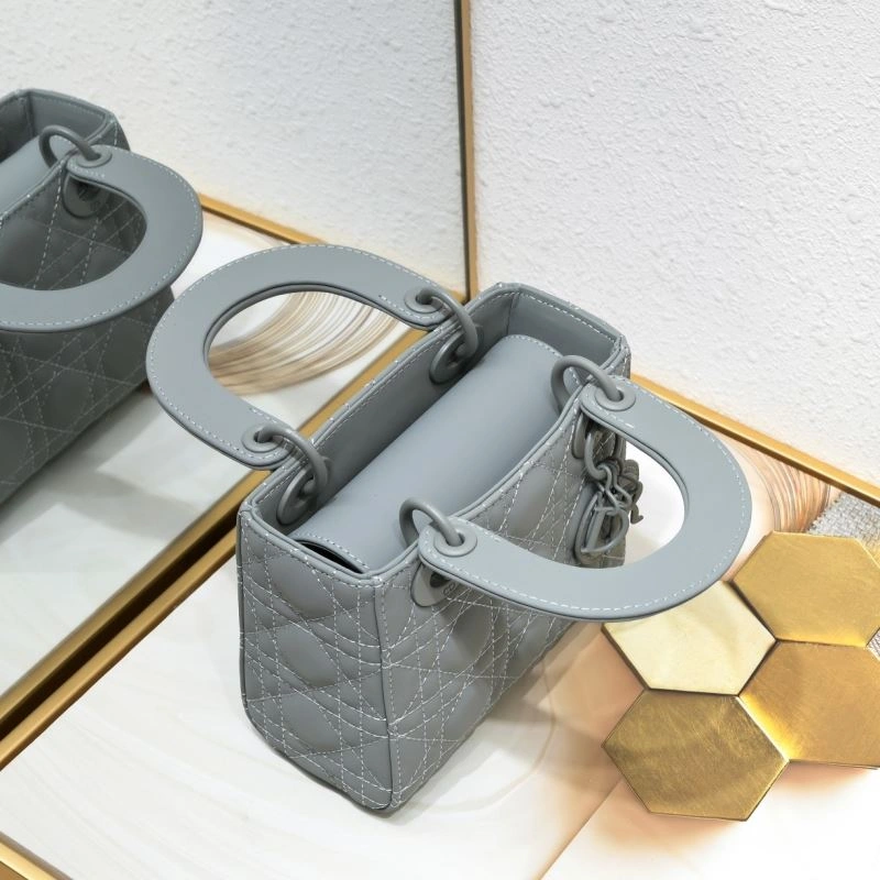 Accurate model Christian Dior Top Handle Bags
