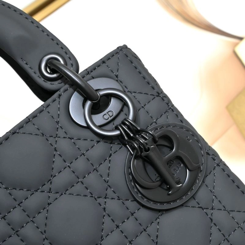 Accurate model Christian Dior Top Handle Bags