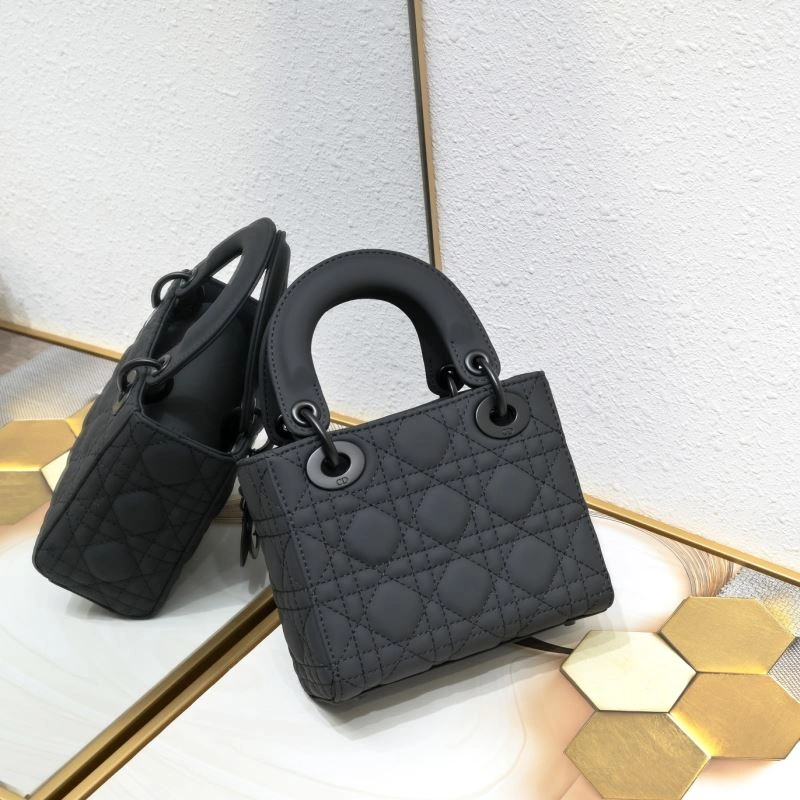 Accurate model Christian Dior Top Handle Bags