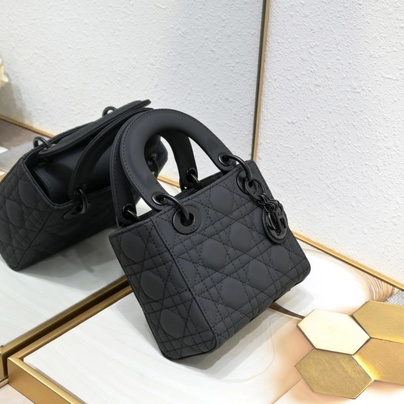 Accurate model Christian Dior Top Handle Bags