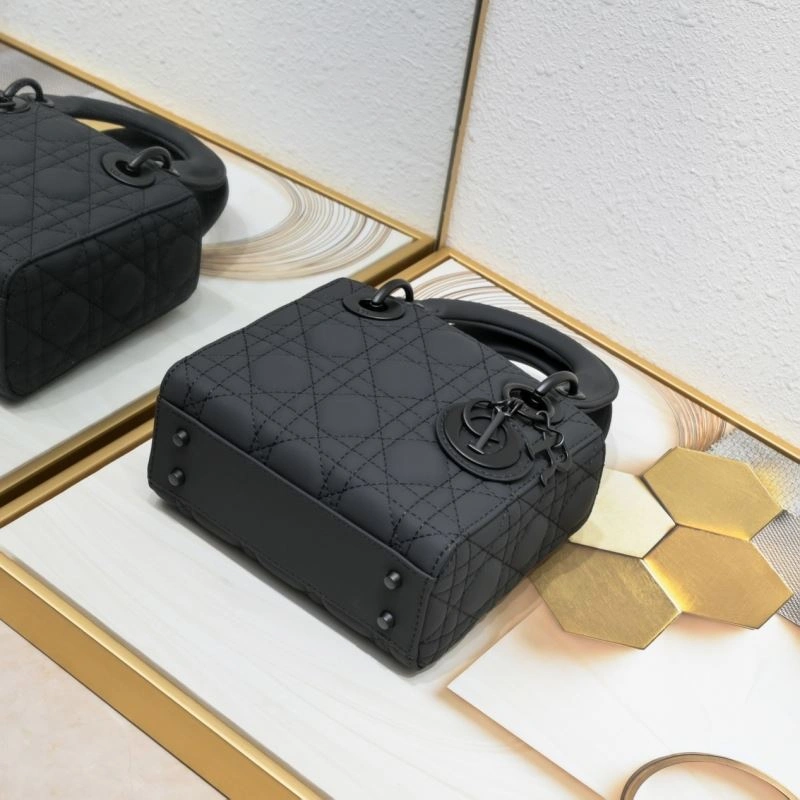 Accurate model Christian Dior Top Handle Bags