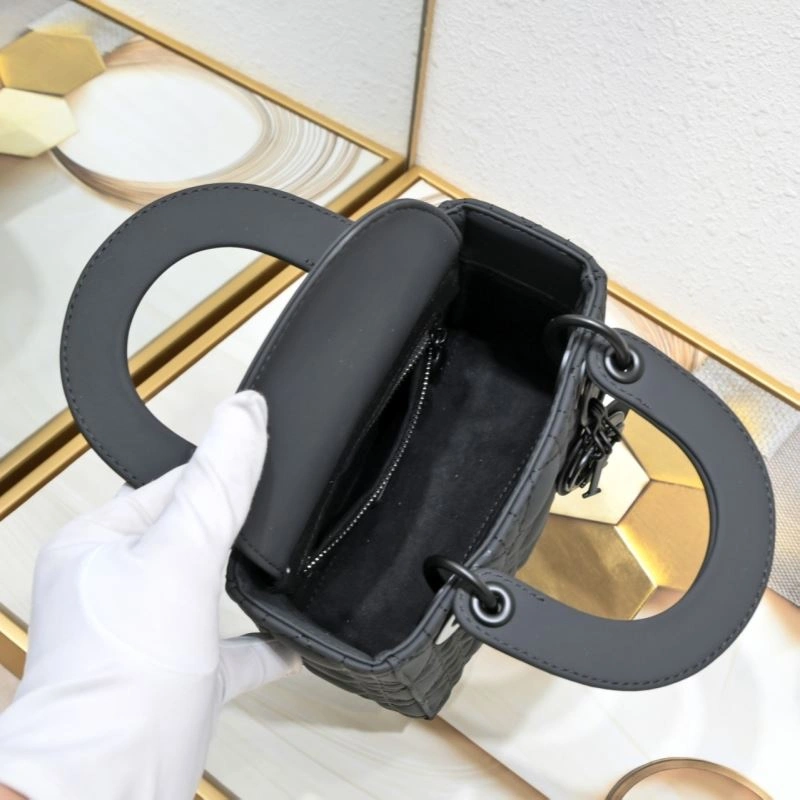 Accurate model Christian Dior Top Handle Bags