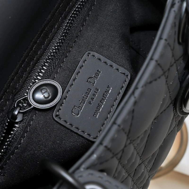 Accurate model Christian Dior Top Handle Bags