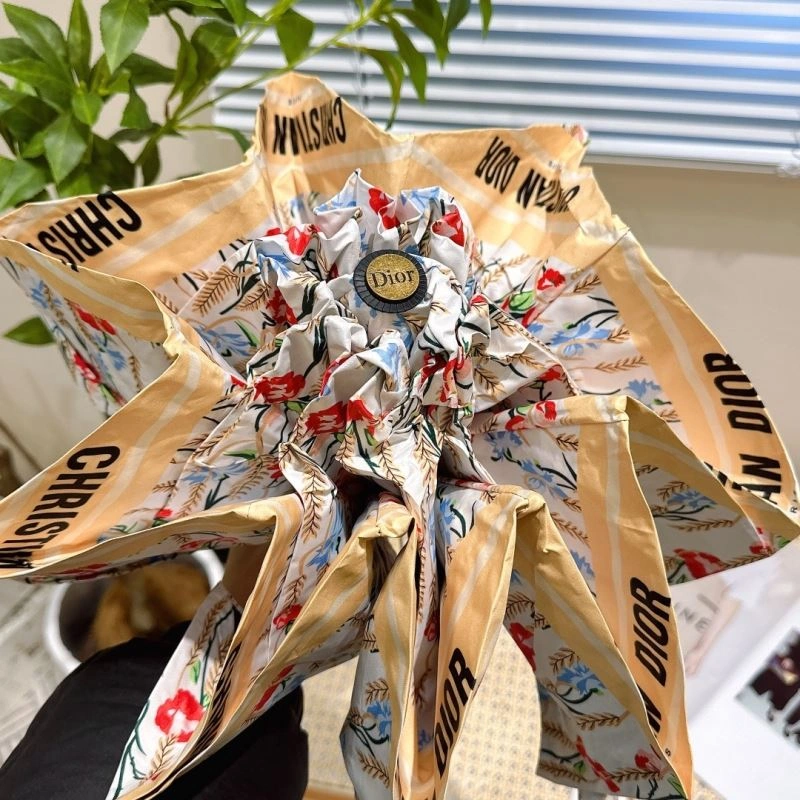 Accurate model Christian Dior Umbrella