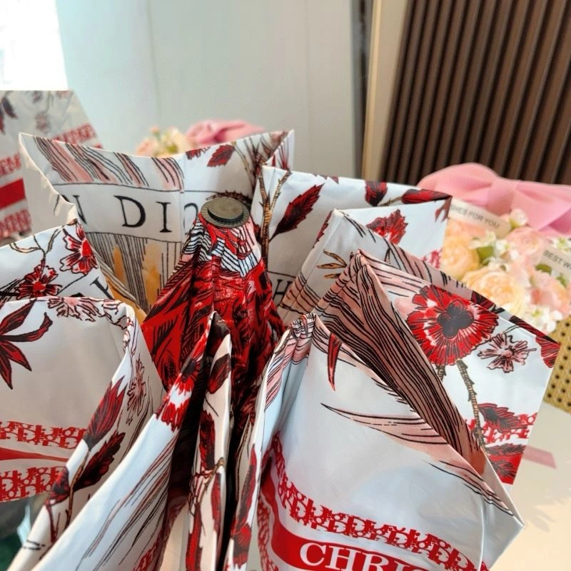 High accuracy Christian Dior Umbrella