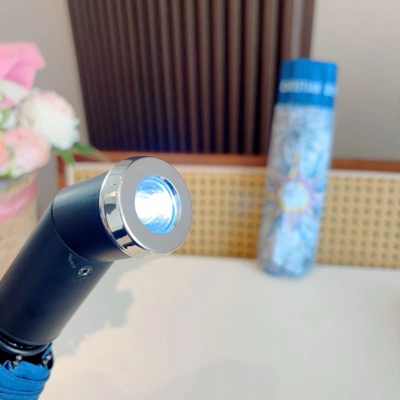 High fidelity Christian Dior Umbrella