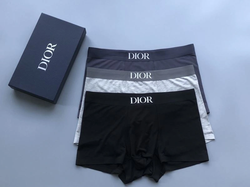 Christian Dior Underwear