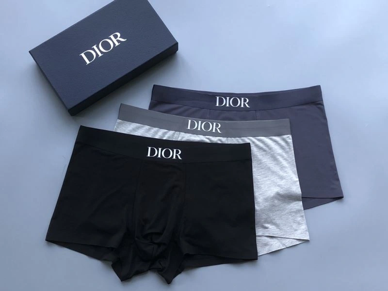 Discounted Christian Dior Underwear