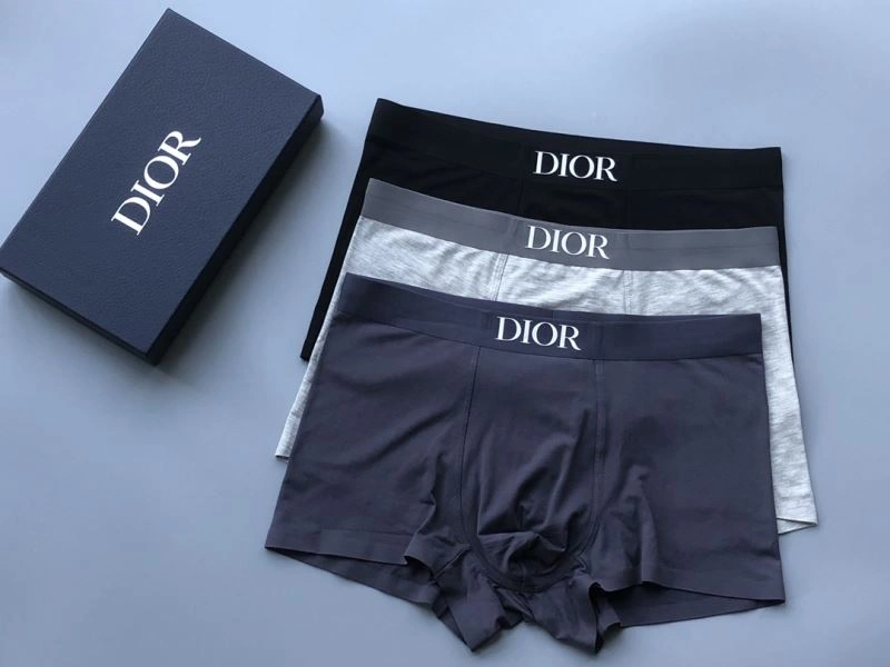 Discounted Christian Dior Underwear