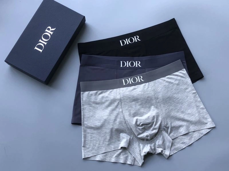 Discounted Christian Dior Underwear