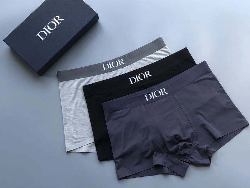 Discounted Christian Dior Underwear