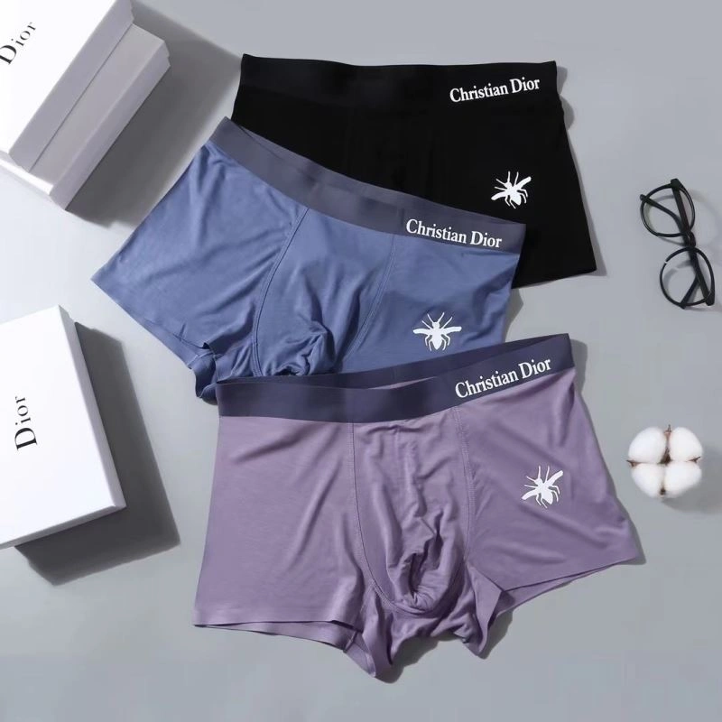 Christian Dior Underwear