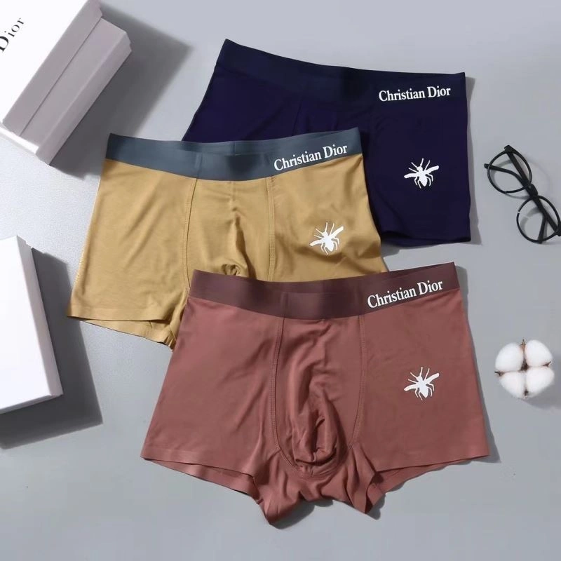 Economical Christian Dior Underwear