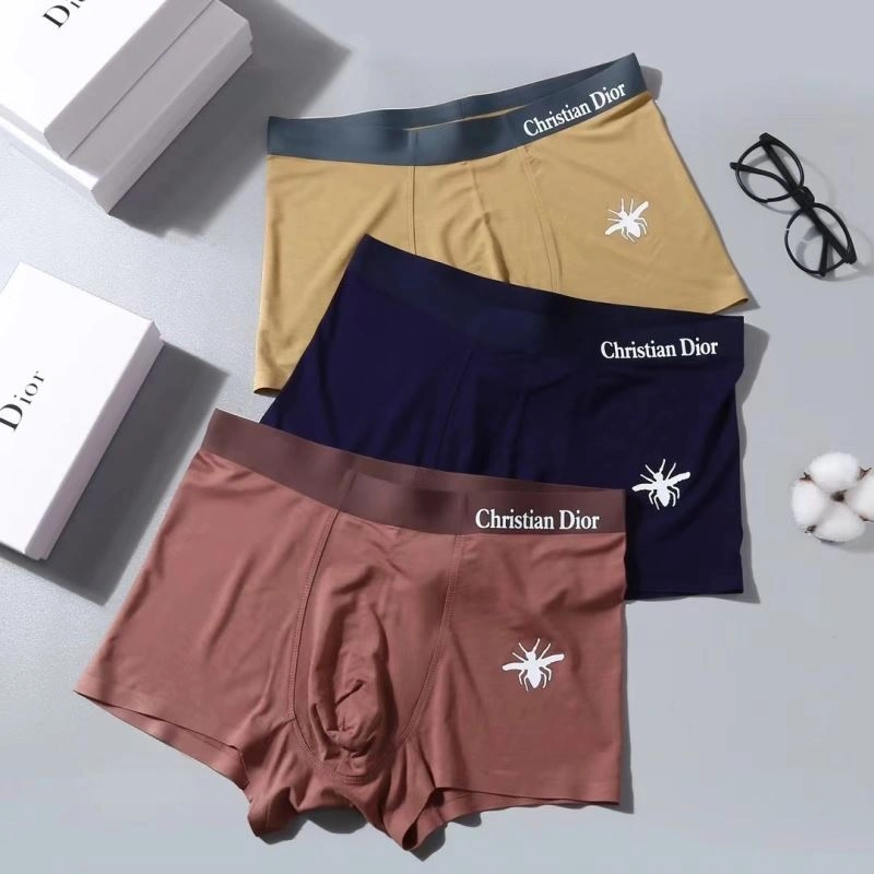 Economical Christian Dior Underwear