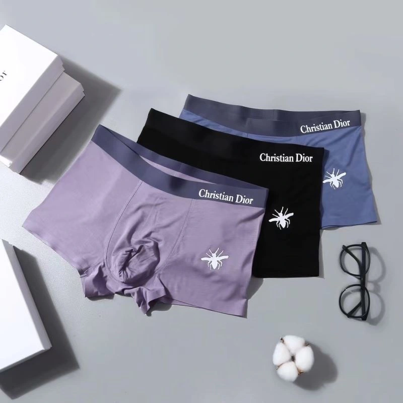 Economical Christian Dior Underwear