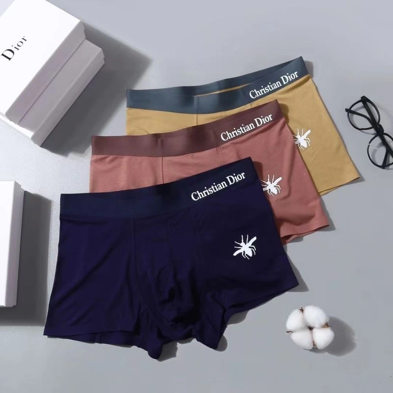 Economical Christian Dior Underwear