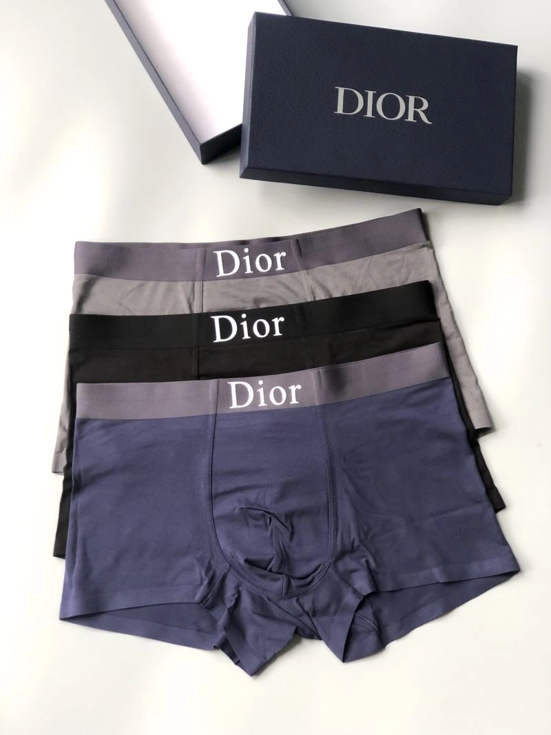 Precise copy Christian Dior Underwear
