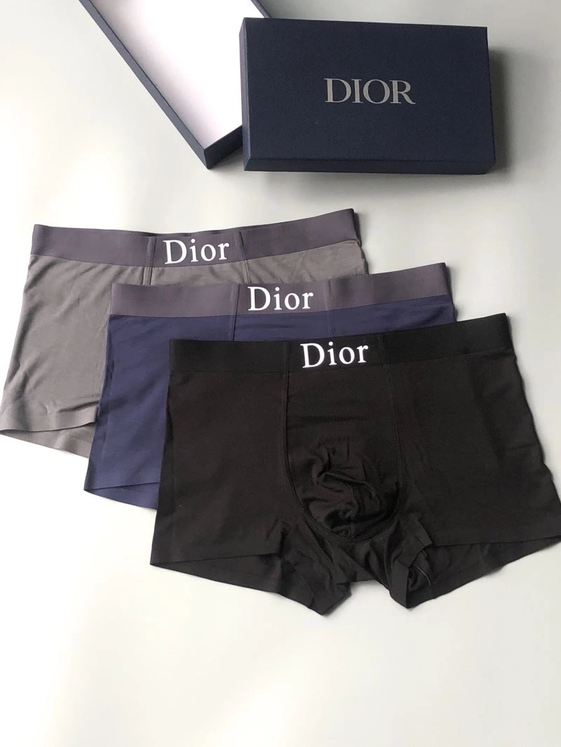 Precise copy Christian Dior Underwear