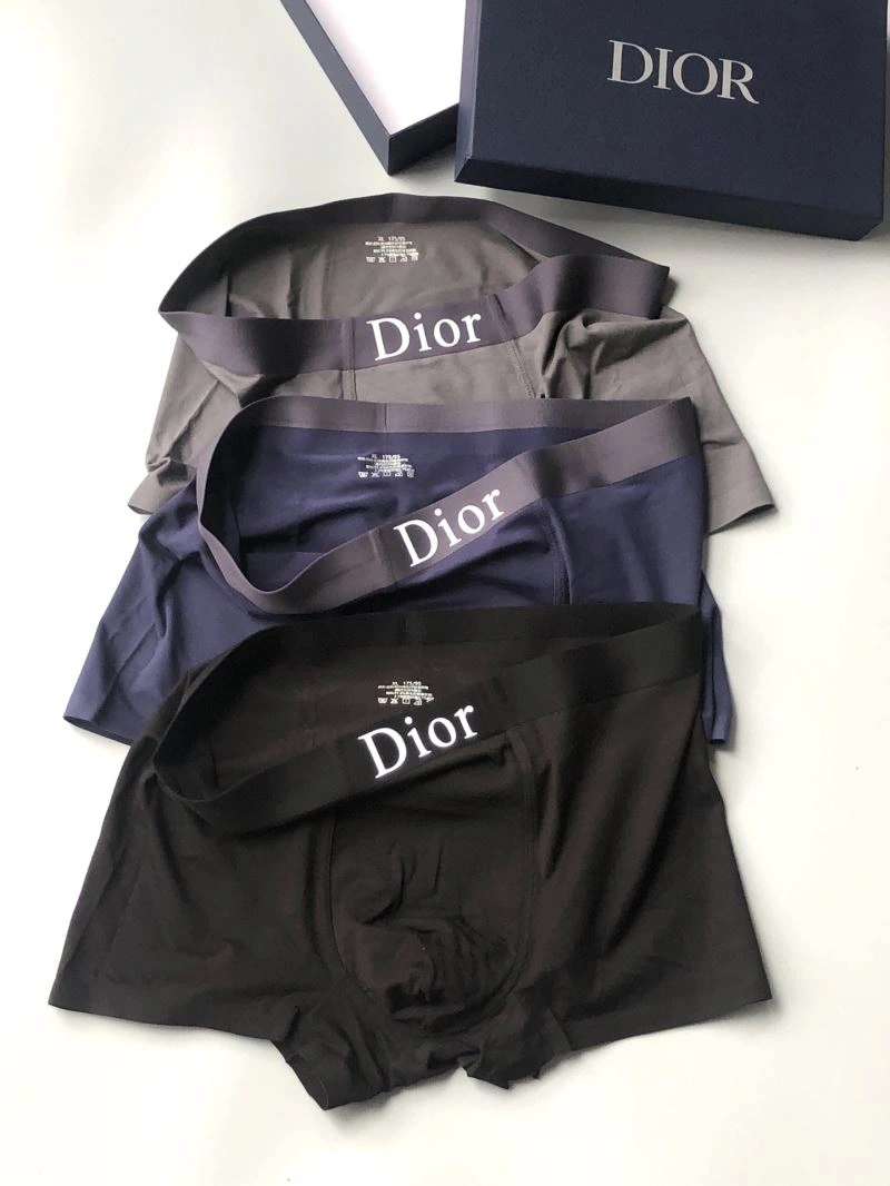 Precise copy Christian Dior Underwear