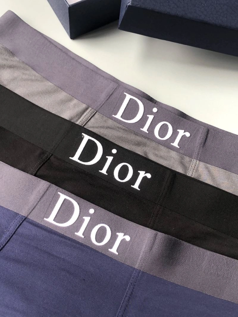 Precise copy Christian Dior Underwear