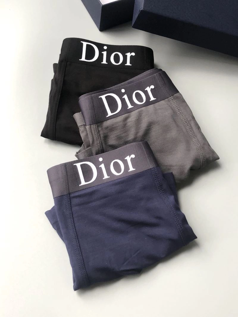 Precise copy Christian Dior Underwear