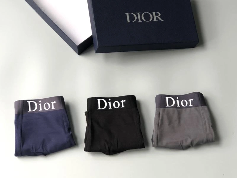 Precise copy Christian Dior Underwear