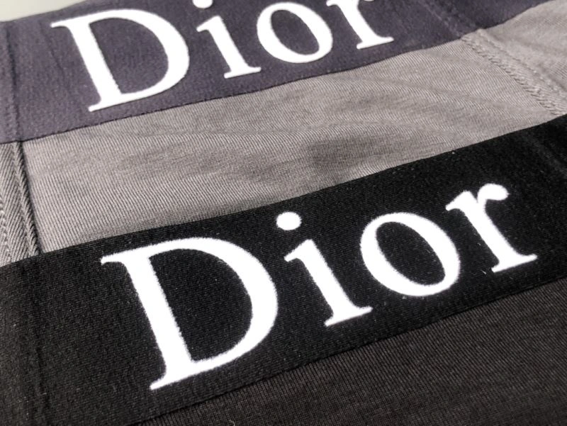 Precise copy Christian Dior Underwear