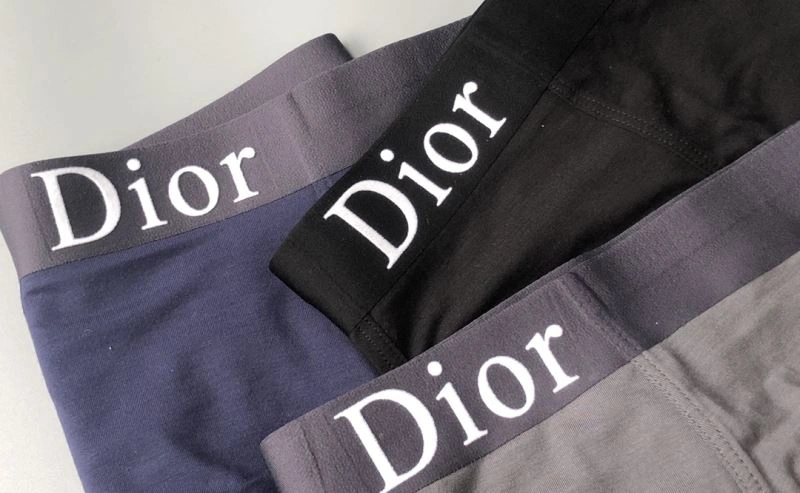 Precise copy Christian Dior Underwear