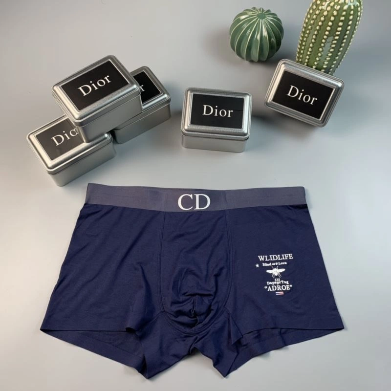 Christian Dior Underwear