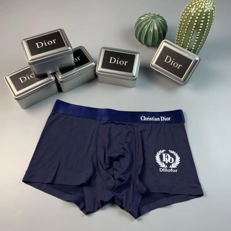 Precise copy Christian Dior Underwear
