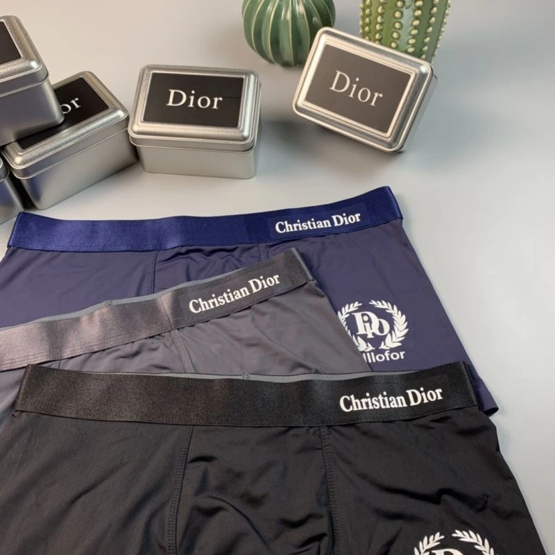 Precise copy Christian Dior Underwear