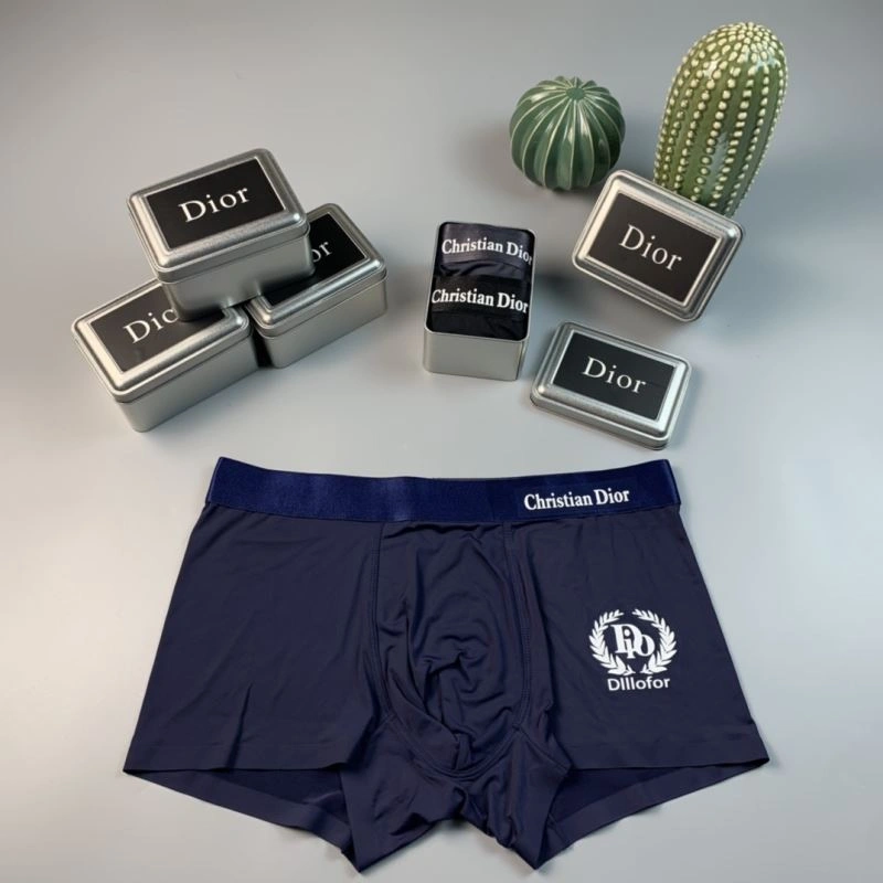 Precise copy Christian Dior Underwear